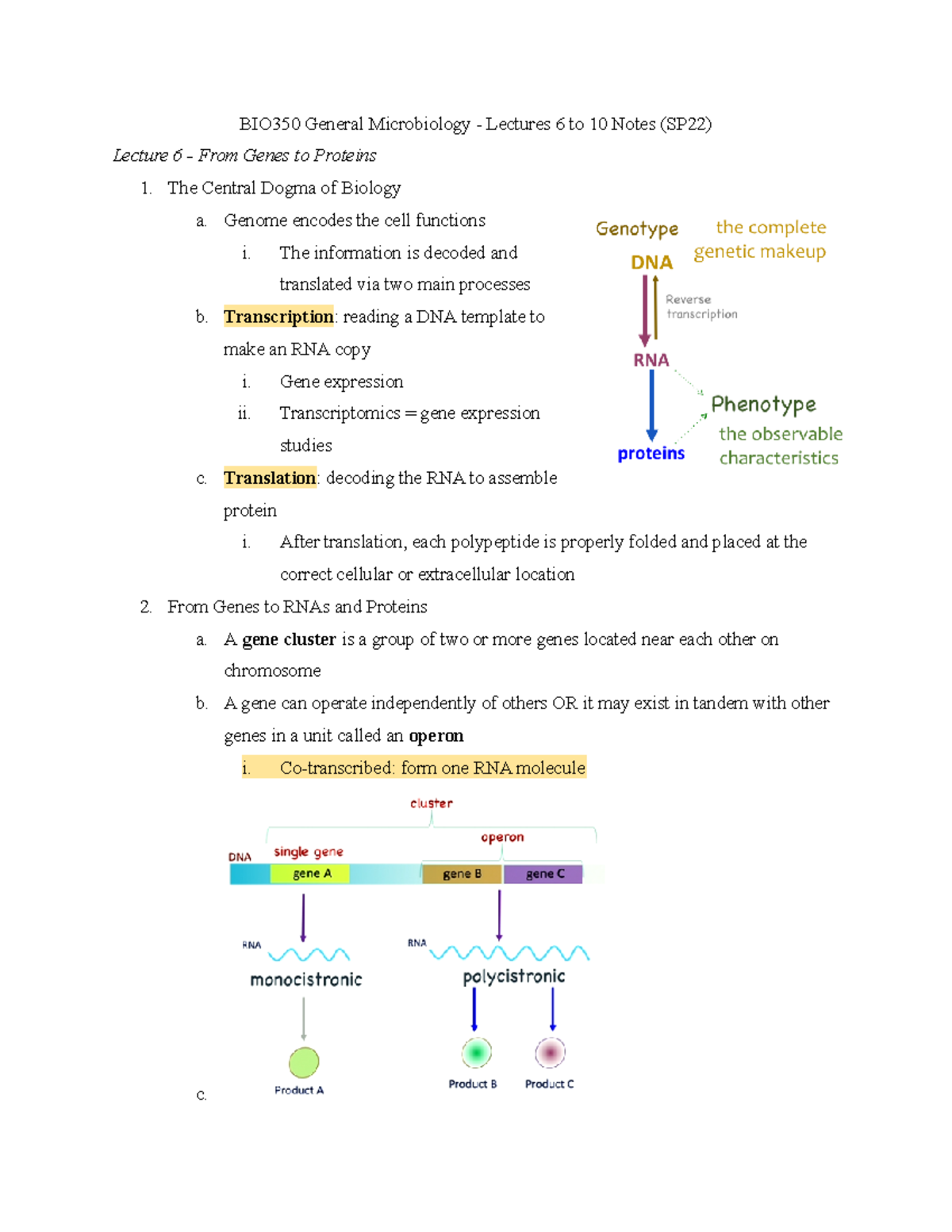 BIO350 General Microbiology Exam 3 Notes - BIO350 General Microbiology ...