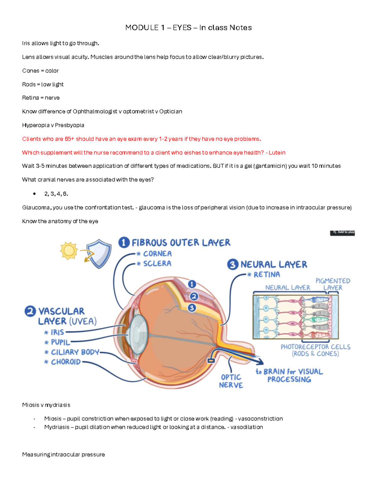 Eyes - In Class Notes - Cataracts, Eye injuries, Glaucoma, Macular ...