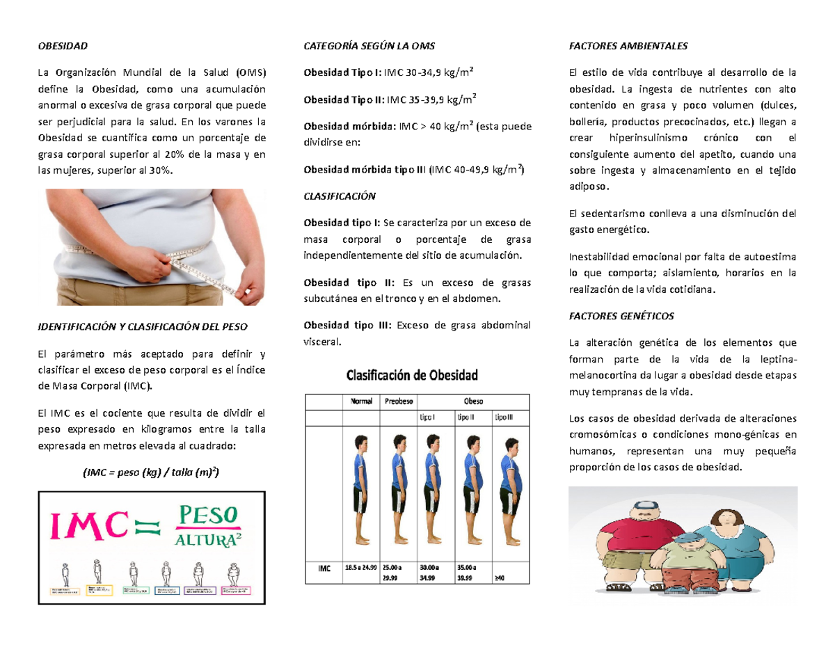 Triptico de la obesidad 2 - OBESIDAD La Organización Mundial de la ...