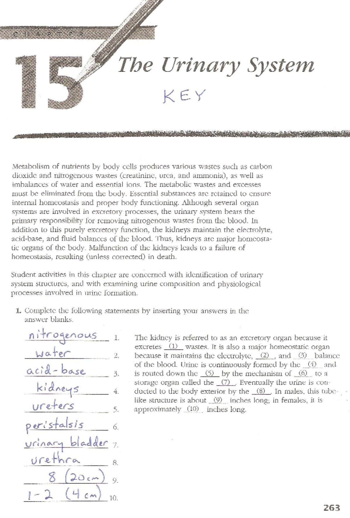 KEY Urinary System Test Review 2013 - PHYSICS 011 - Studocu