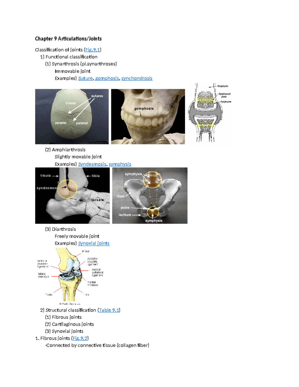 Articulations Joints - Chapter 9 Articulations/Joints Classification of ...