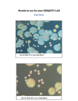 Hygiene - In Class Activity - Hygiene – In Class Activity Larry Randall ...