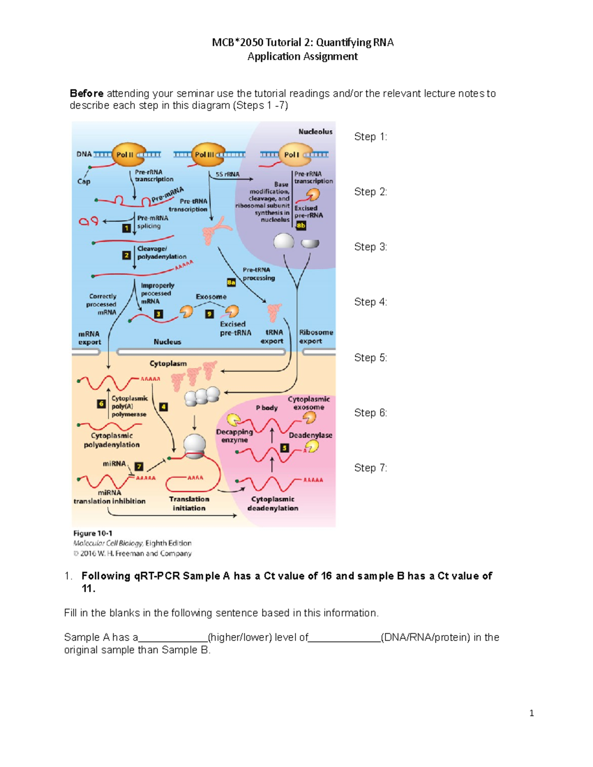 Tutorial 2 Seminar Assignment - Word - MCB*2050 Tutorial 2: Quantifying RNA Application ...