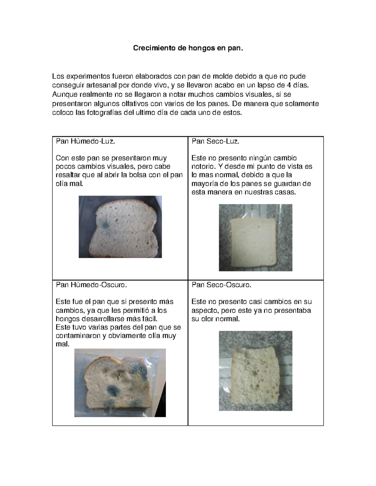 Crecimiento de hongos en pan - Los experimentos fueron elaborados con ...