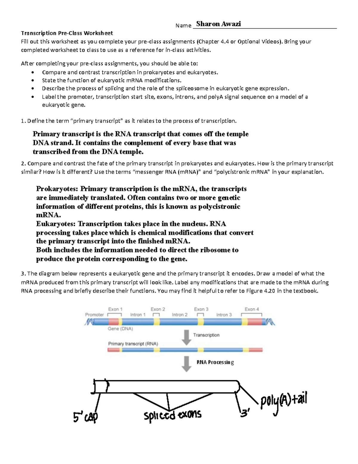 Week+5b+Transcription+v2 - Name ...