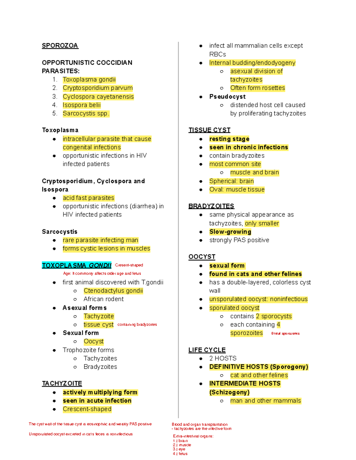 Sporozoa - SPOROZOA OPPORTUNISTIC COCCIDIAN PARASITES: Toxoplasma ...