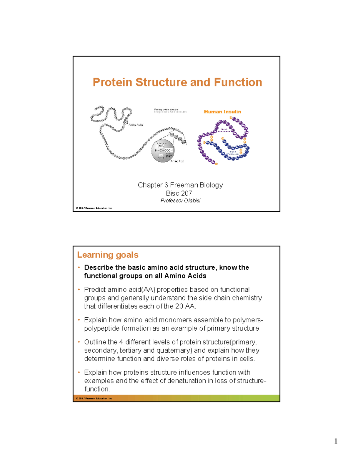 Week 3 lecture Proteins -Chapter 3 Bisc207 Prof. Olabisi - © 2017 ...