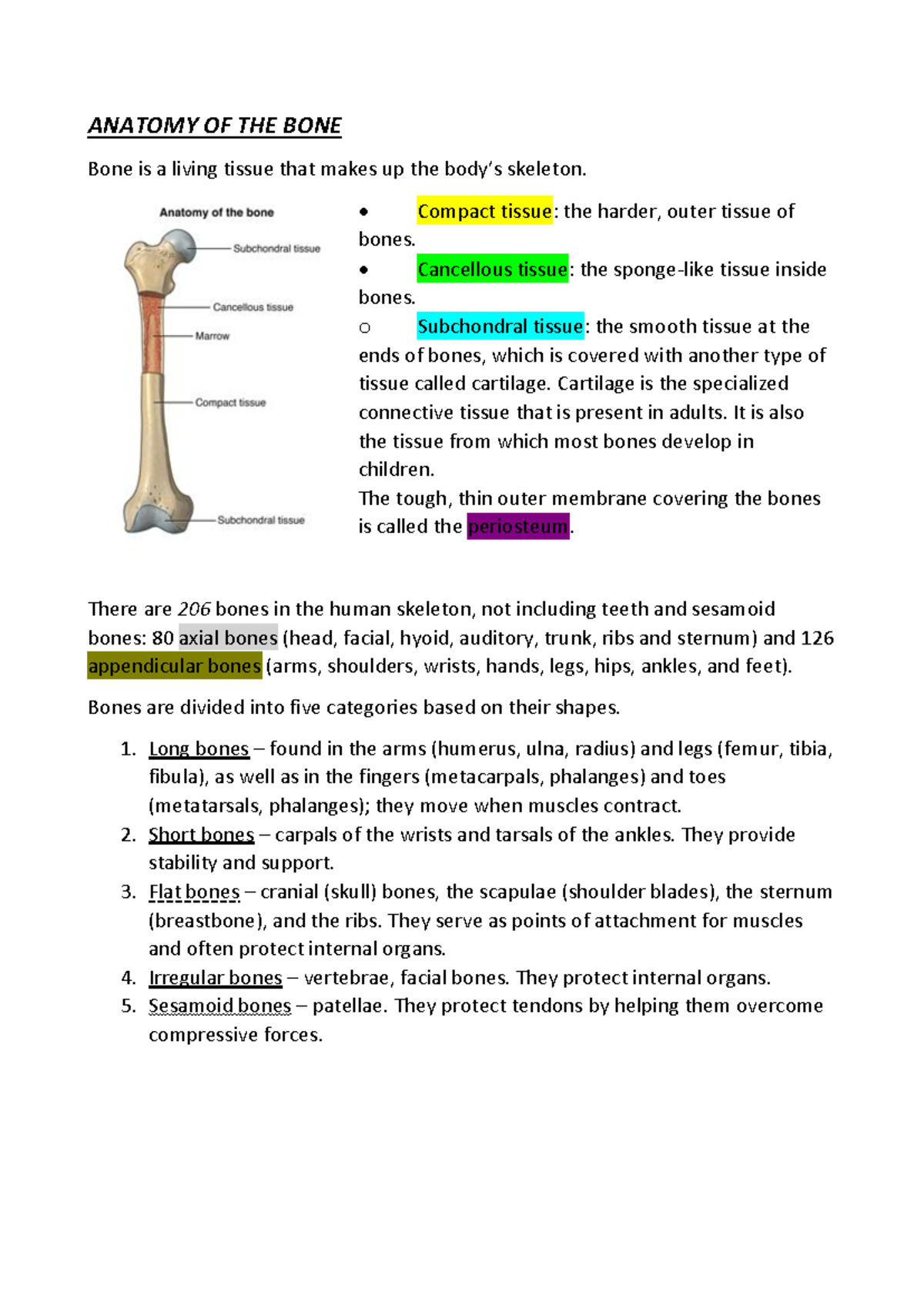 Anatomy of the Bones - Summary anatomia - ANATOMY OF THE BONE Bone is a ...