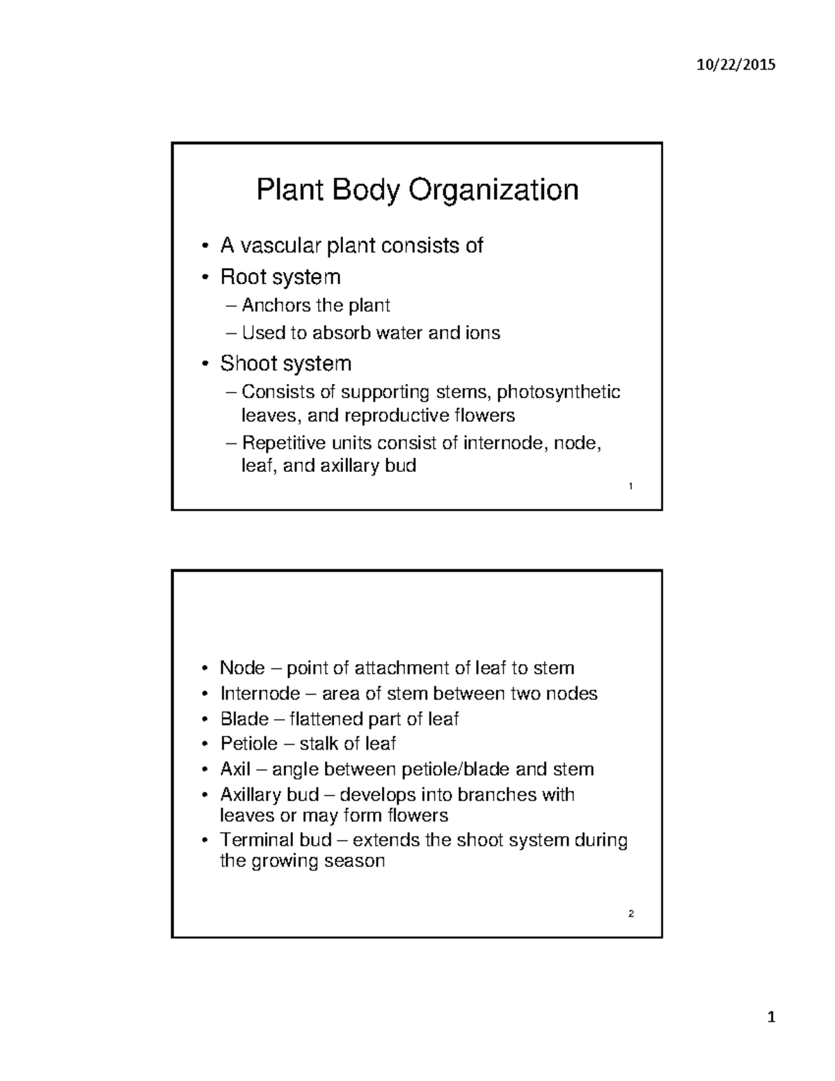 BIOL 1134 Plant anatomy Basics F15 - 10/22/2015 Plant Body Organization ...