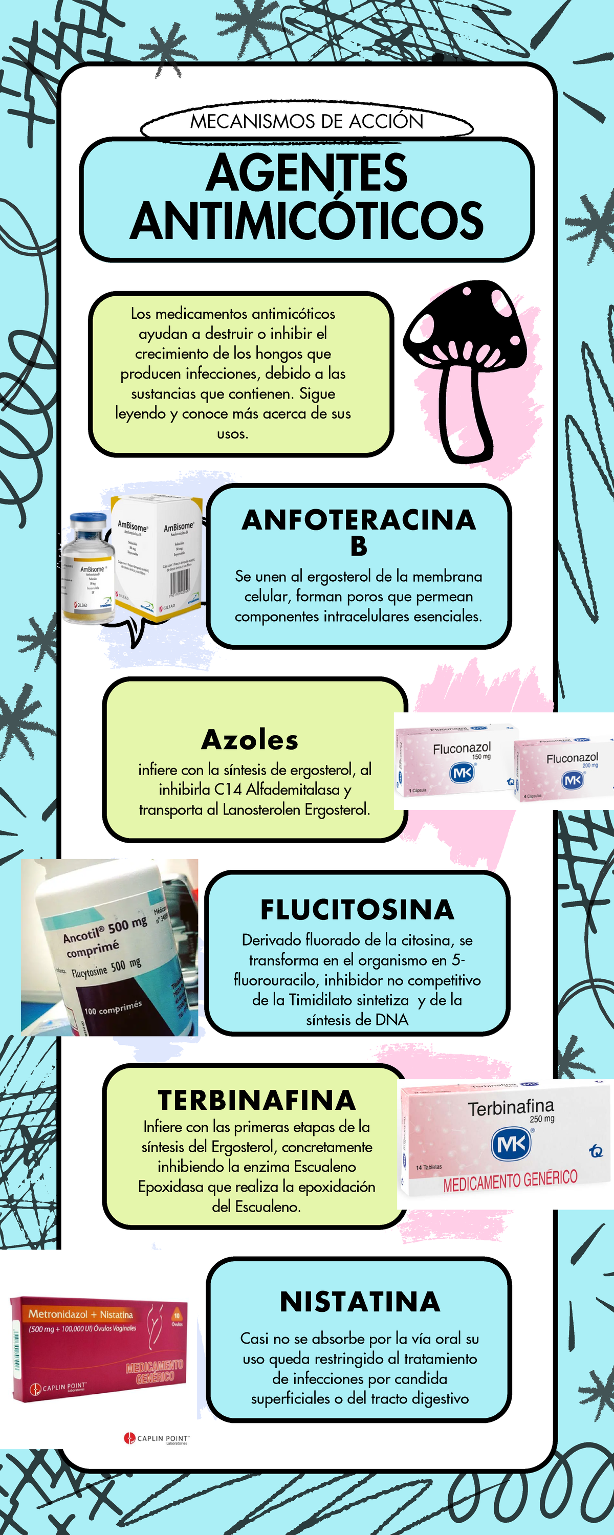 Agentes Antimicoticos - MECANISMOS DE ACCIÓN AGENTES ANTIMICÓTICOS Los ...