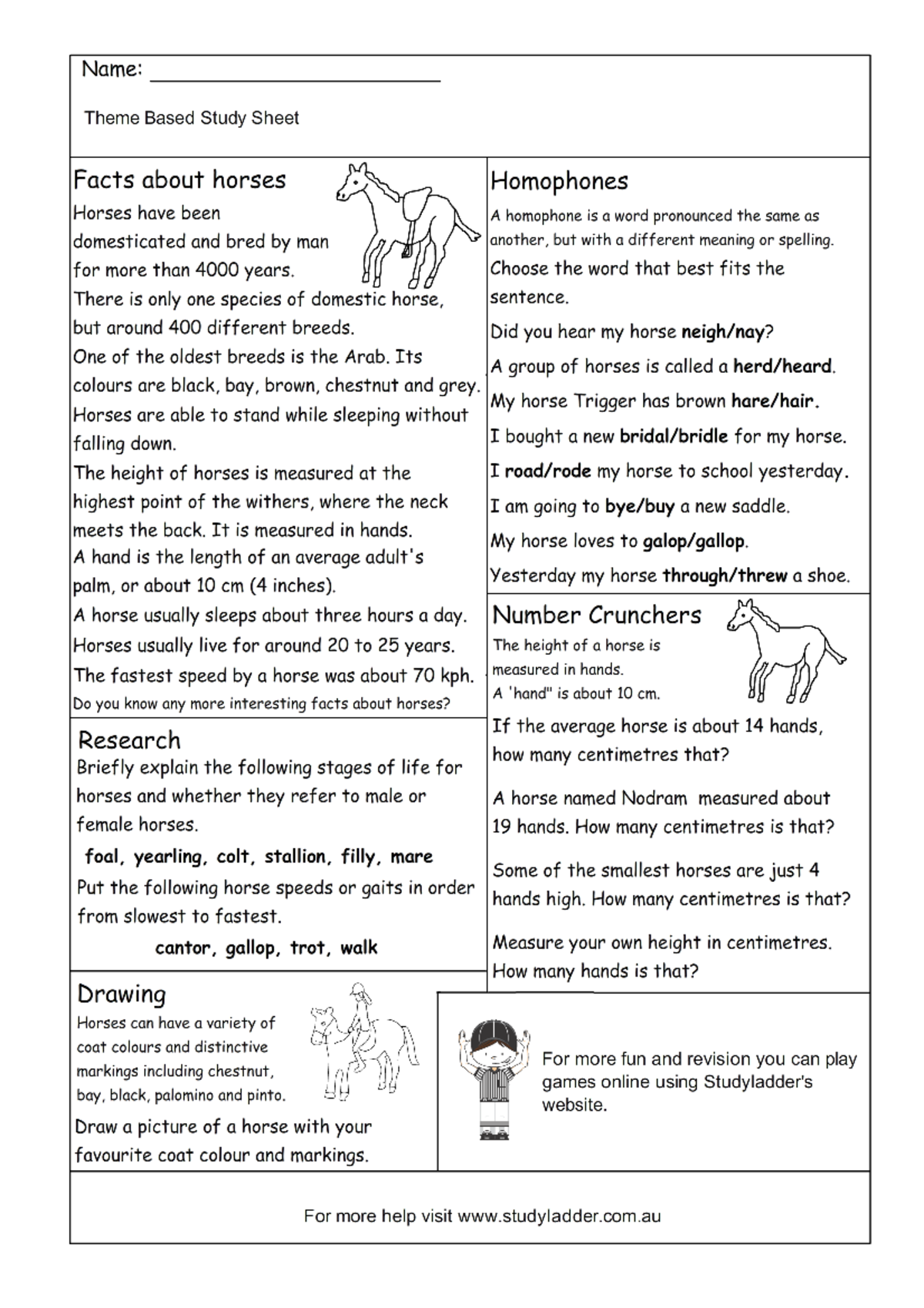 Horses - Biology - Studocu