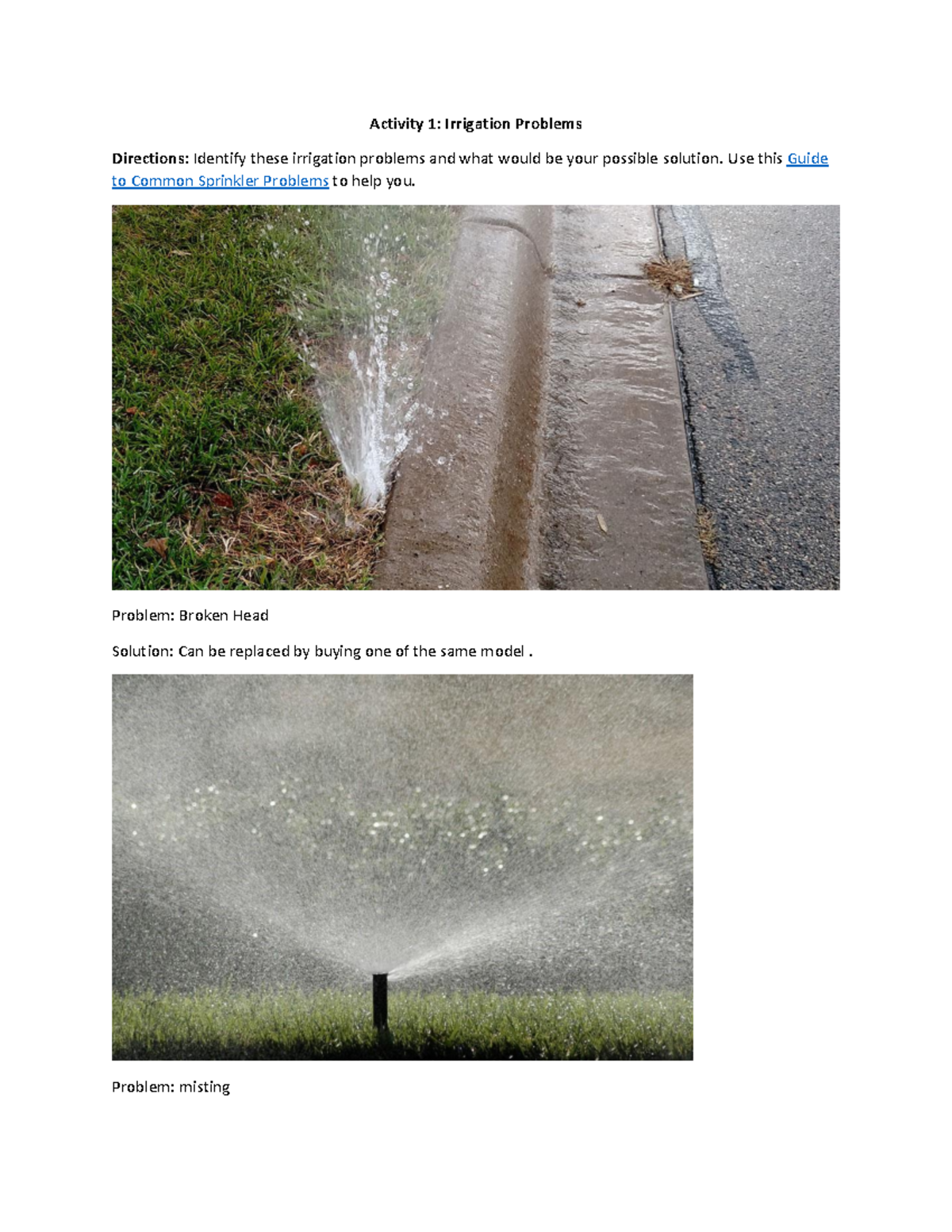 Activity-Irrigation-1 - Activity 1 : Irrigation Problems Directions ...