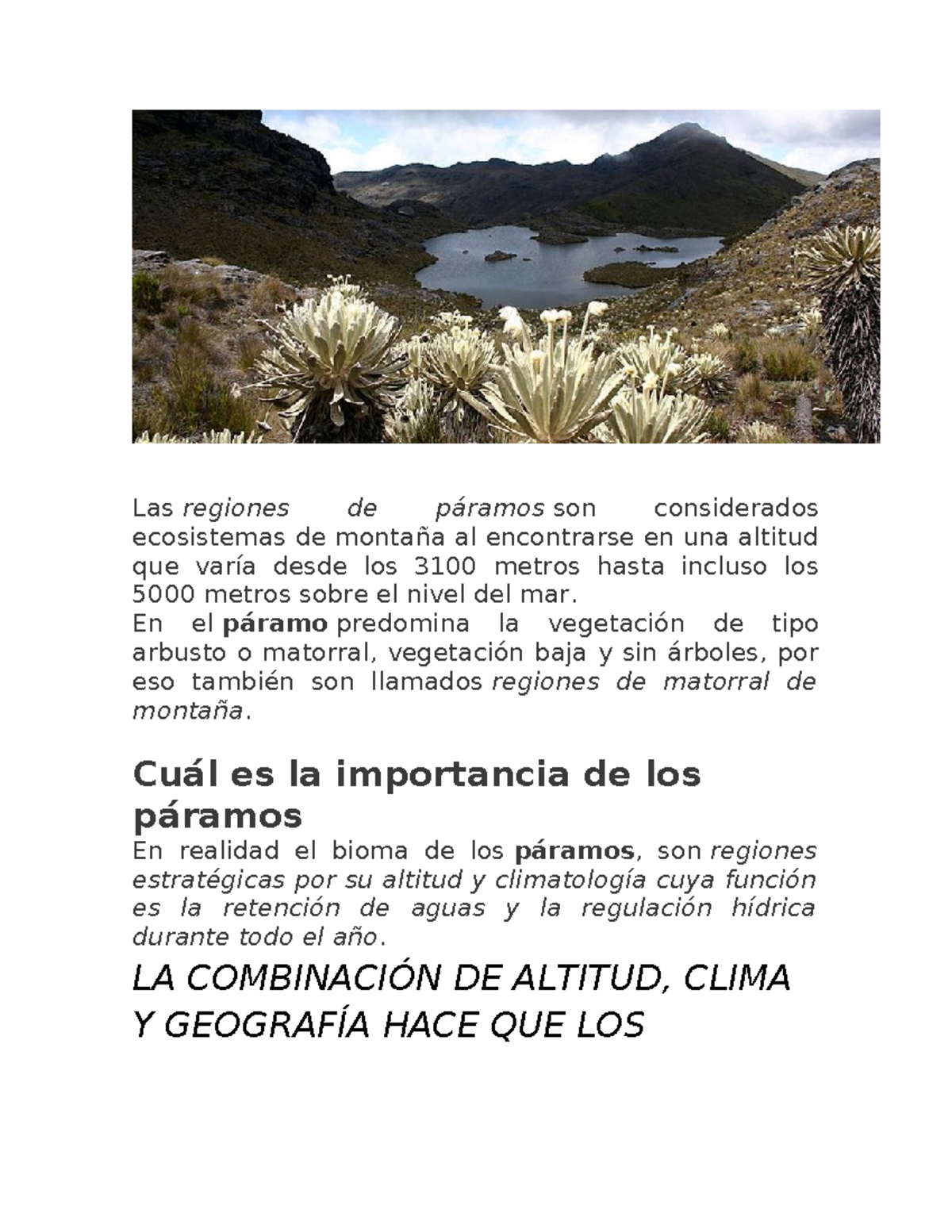 IMPORTANCIA DE LOS PARAMOS PARA EL PAIS COLOMBIANO, FAUNA Y FLORA - Las ...