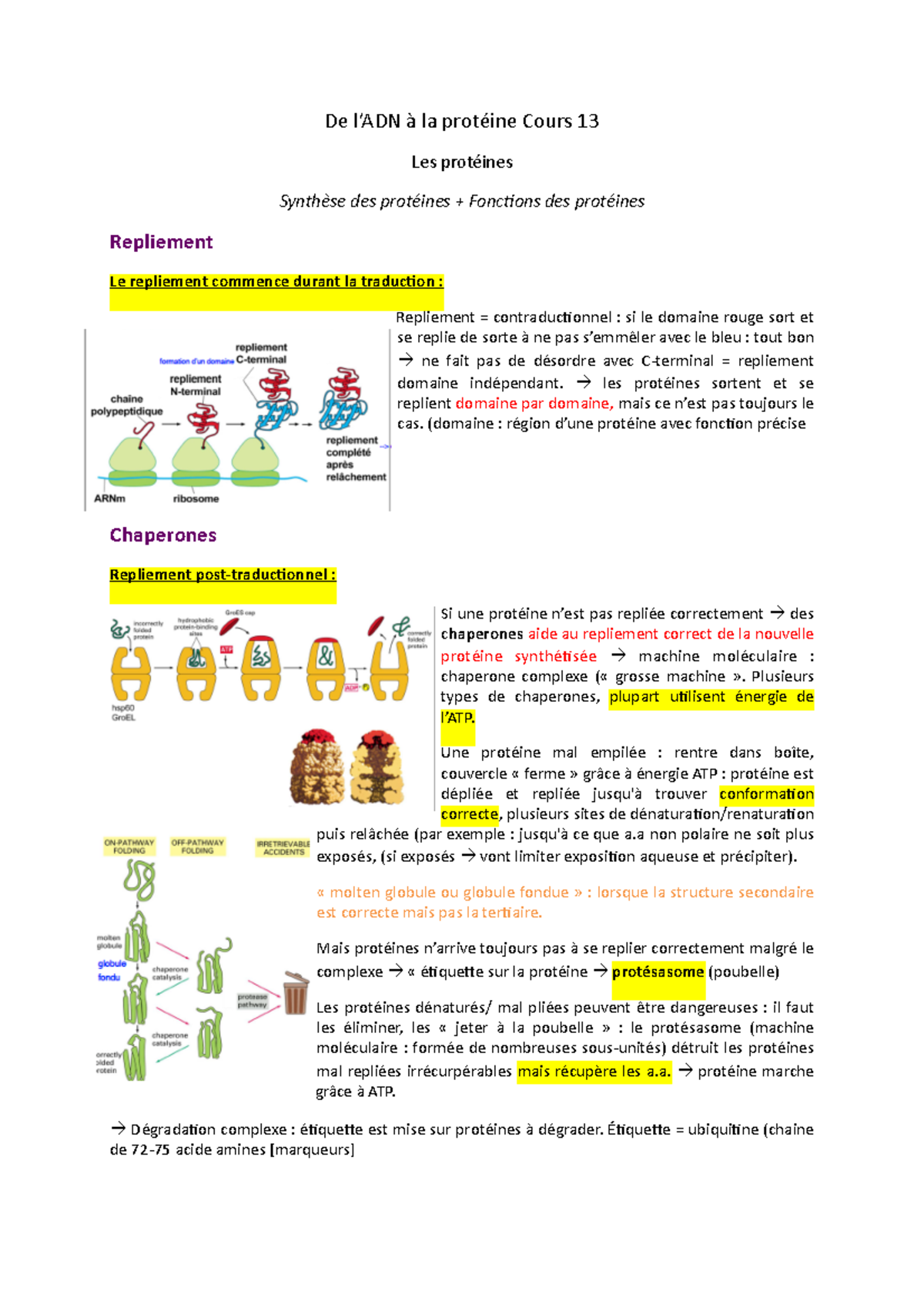 13. ADN Prot 13 (acide désoxyribonucléique) - Warning: TT: undefined function: 32 De l’ADN à la ...