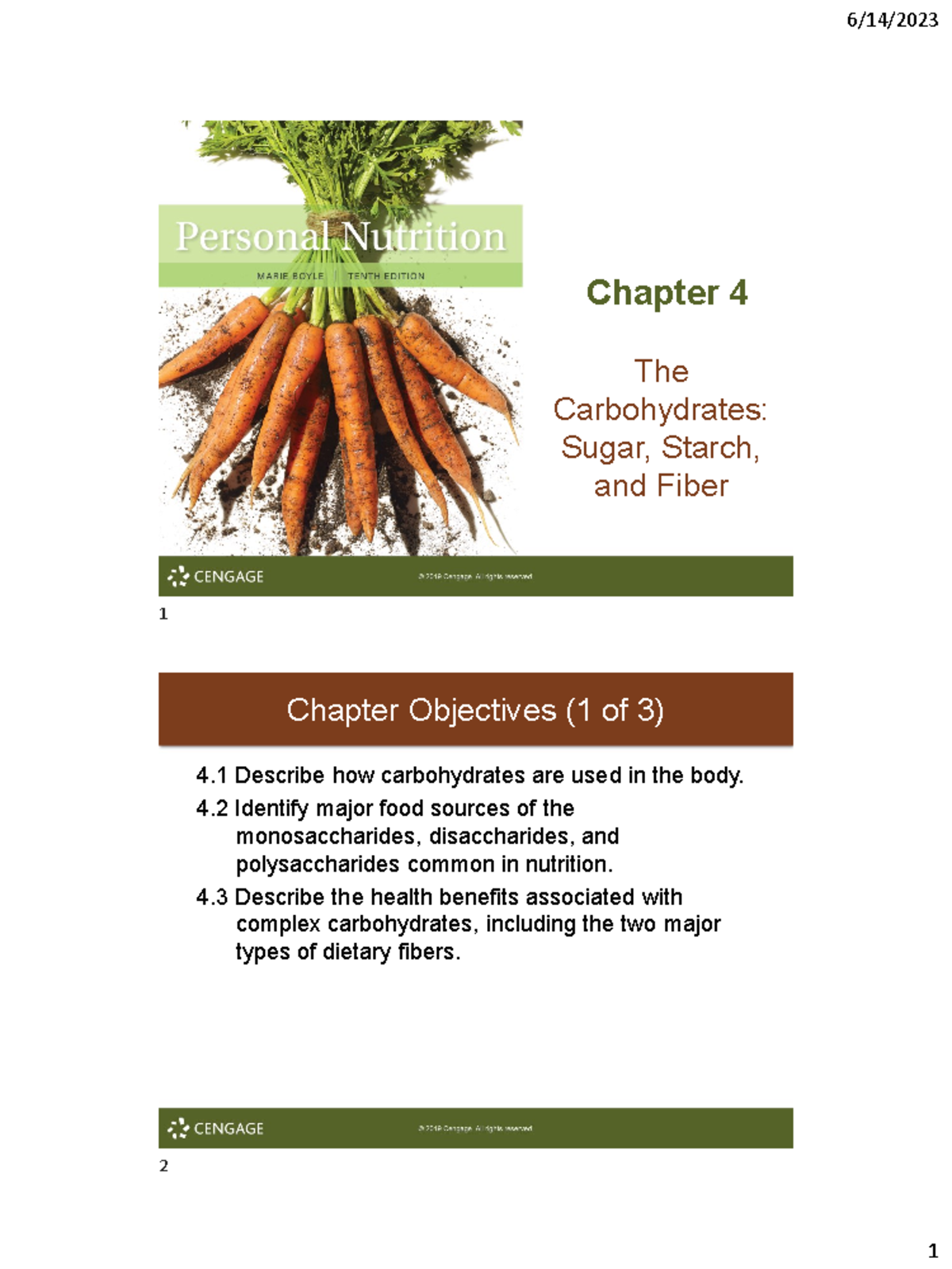 Ch+04 upload - Yrvju - The Carbohydrates: Sugar, Starch, and Fiber ...