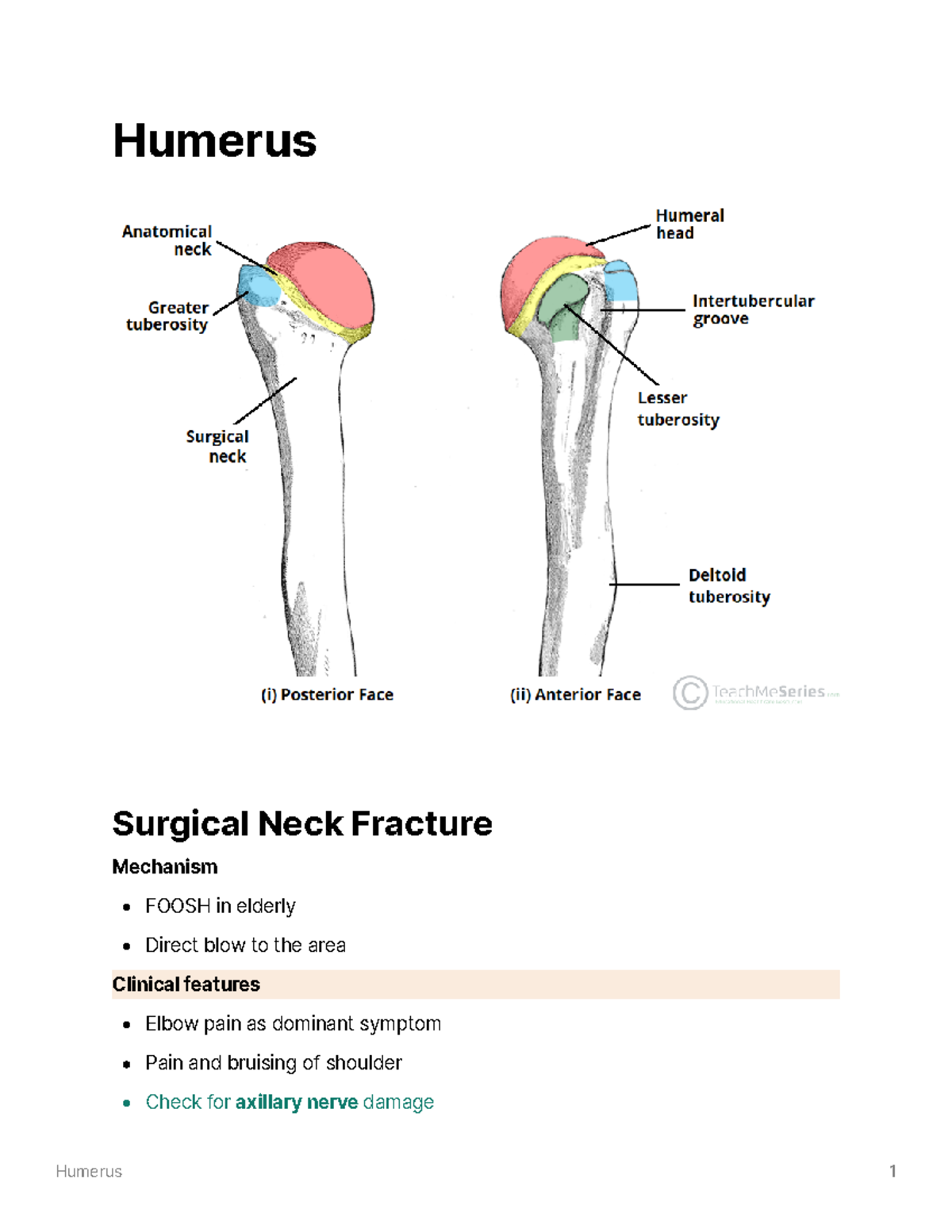 Humerus - Humerus Surgical Neck Fracture Mechanism FOOSH in elderly ...