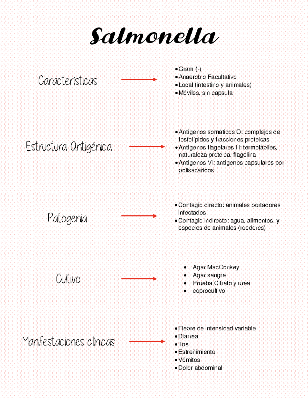 Mapa 6 - Mapa de bacterias - Salmonella CaracterÌsticas Estructura ...