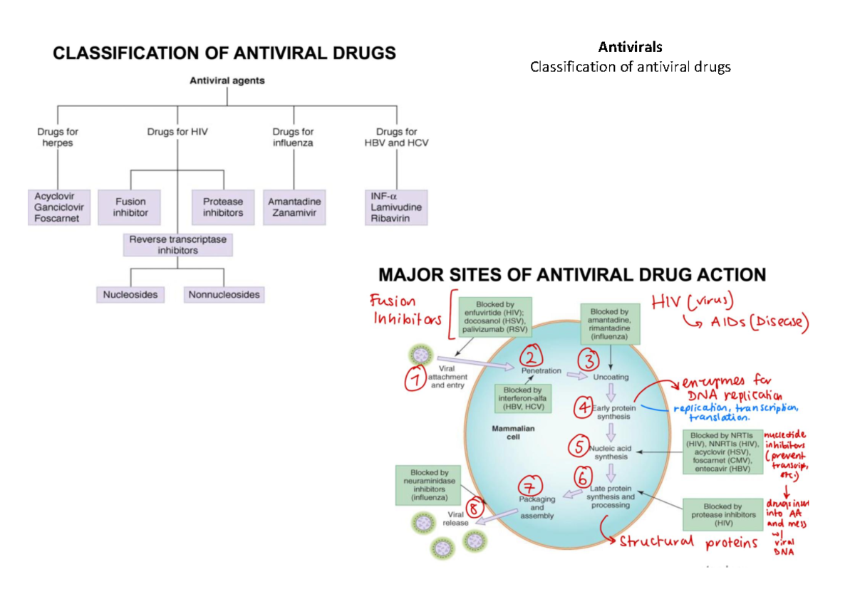 Antiviral Pharmacology - Antivirals Classification of antiviral drugs ...