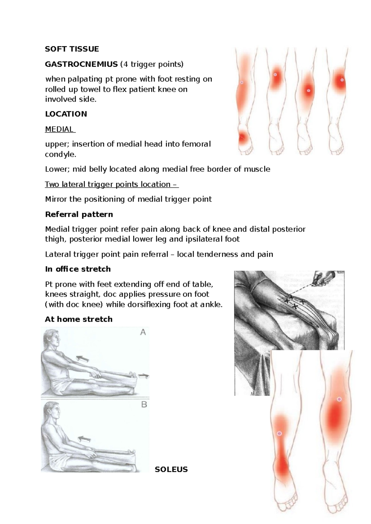 soft tissue 3 muscles - SOFT TISSUE GASTROCNEMIUS (4 trigger points ...
