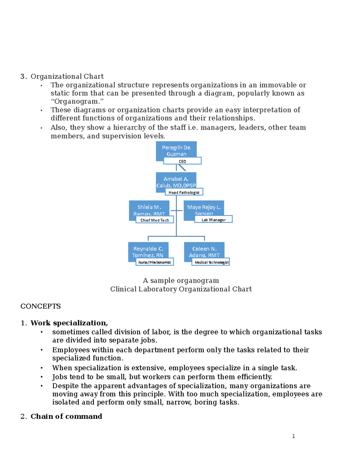 Organizational Chart - Organizational Chart The organizational ...