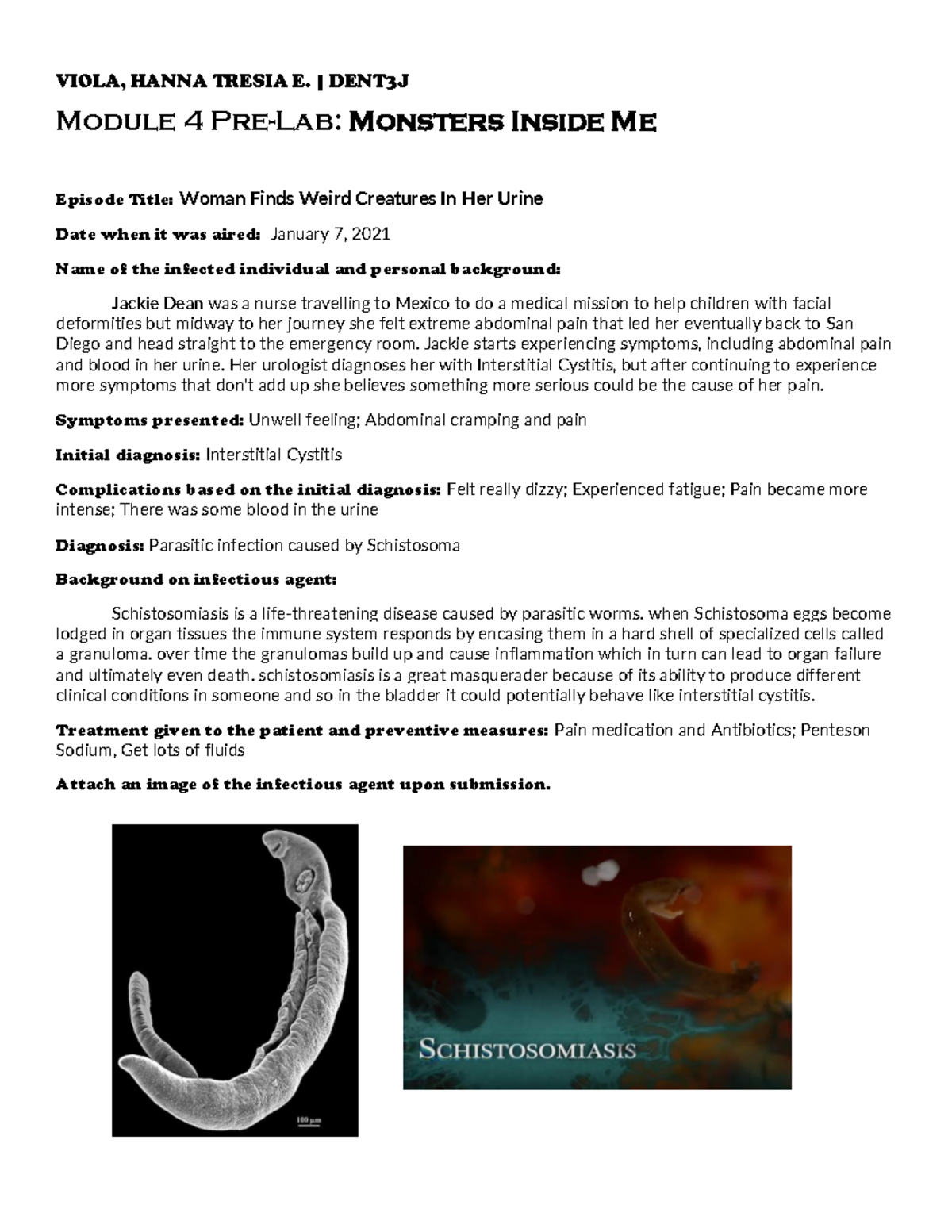 Viola M4 PRE-TASK LAB - nothing special here - VIOLA, HANNA TRESIA E ...
