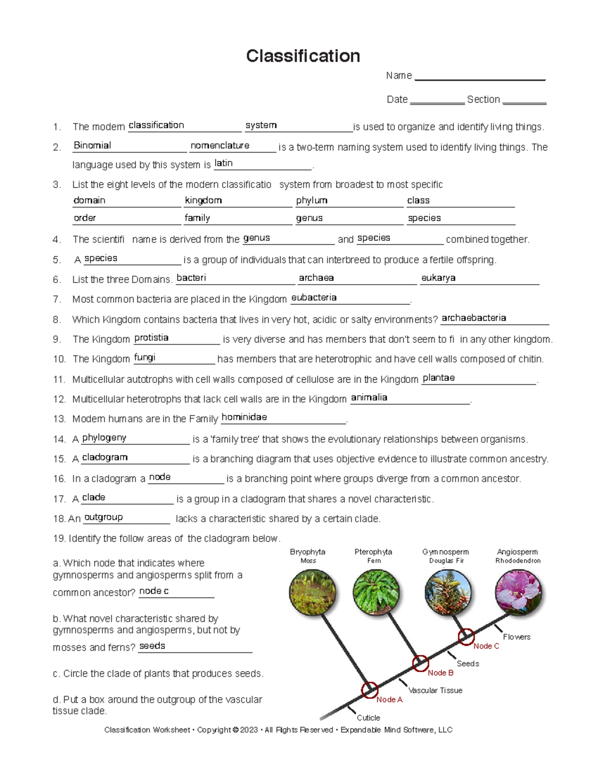 Classification Wksh - emind lab - Classification Name ...