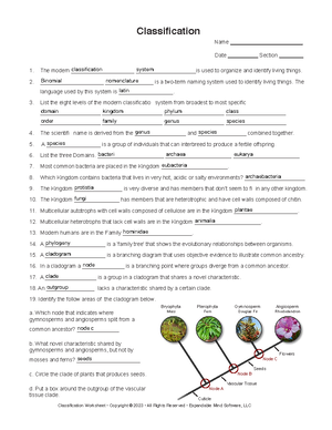 Applying the Scientific Method - Pillbug Preference - 8/22/23, 7:23 AM ...