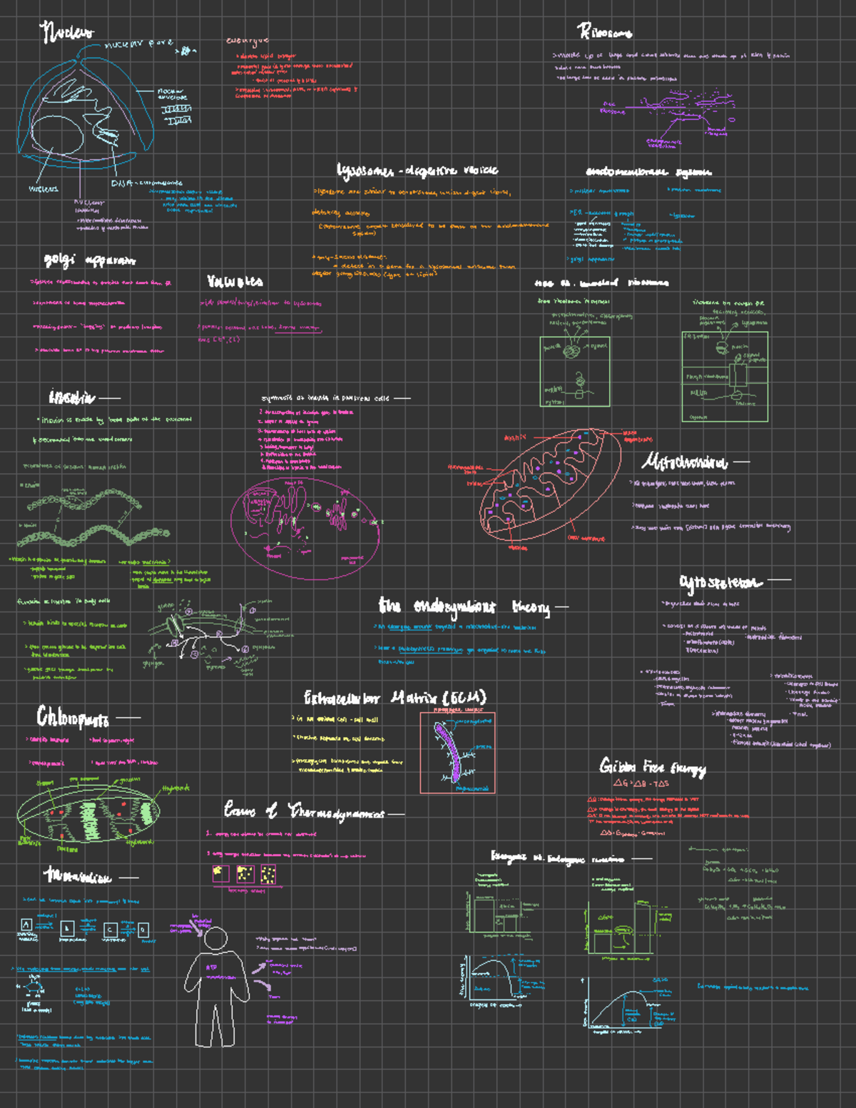 Bio 5A P10 - toxicity, prokaryotes vs eukaryotes, movement of large ...