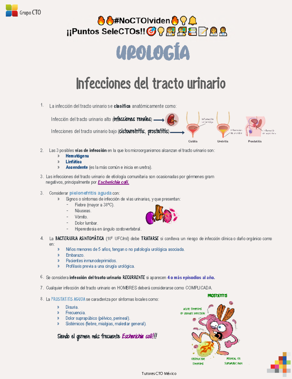 Enarm.05.1920 - Resumen - UROLOGÍA Infecciones del tracto urinario ...