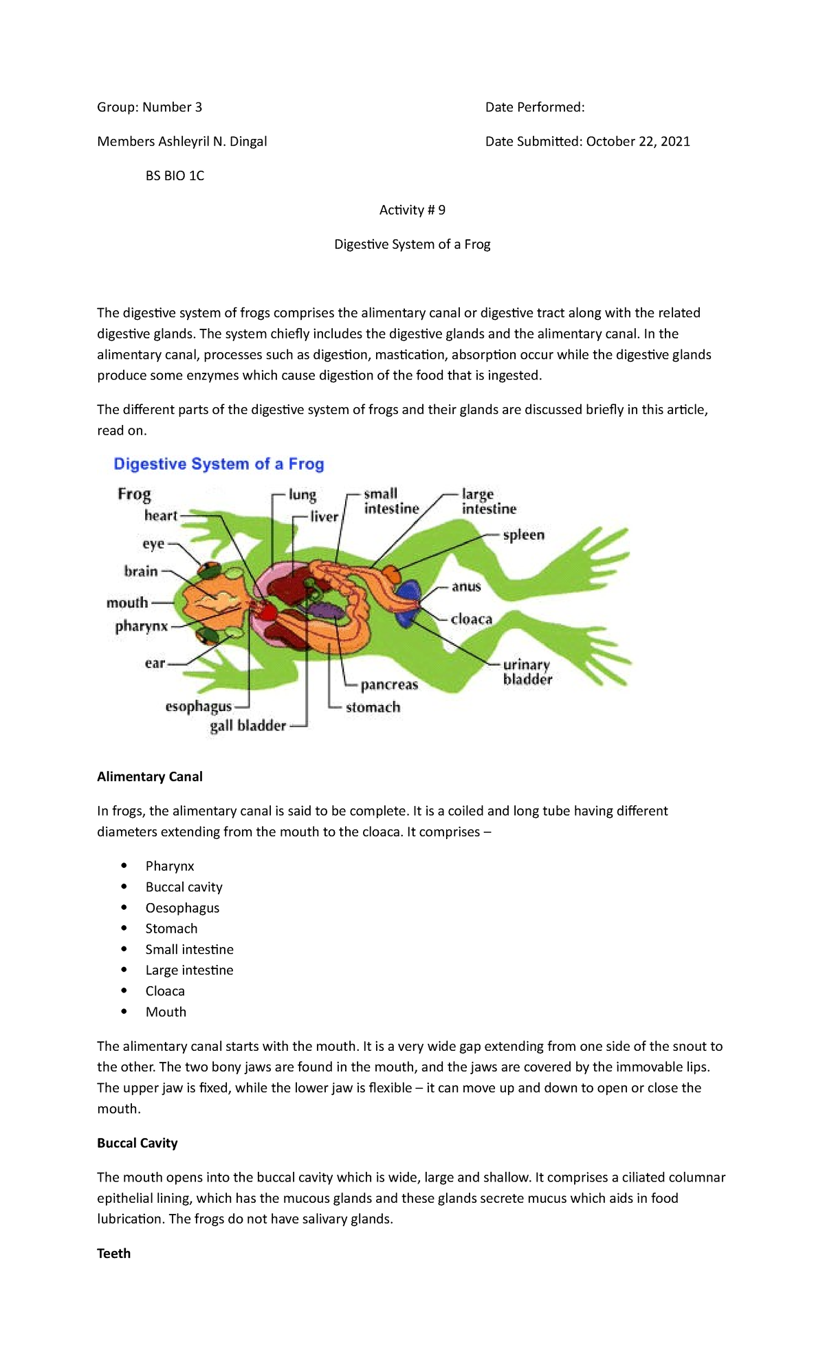 Ashleyril N. Dingal Bsbio 1C Activity #9 Digestive Systen of a Frog ...
