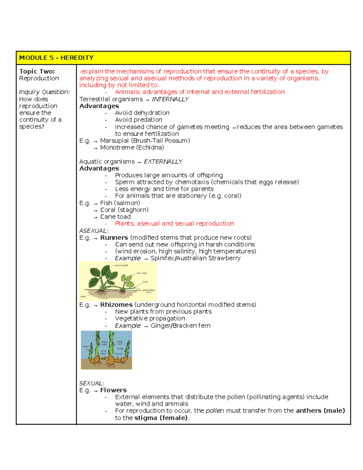 Detailed Notes On Module 5 Module 5 Heredity Topic Two Reproduction Inquiry Question How