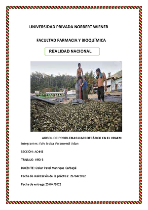 Yunga WORD - recoleccion de datos - LA REGIÓN YUNGA UBICACIÓN Se ...