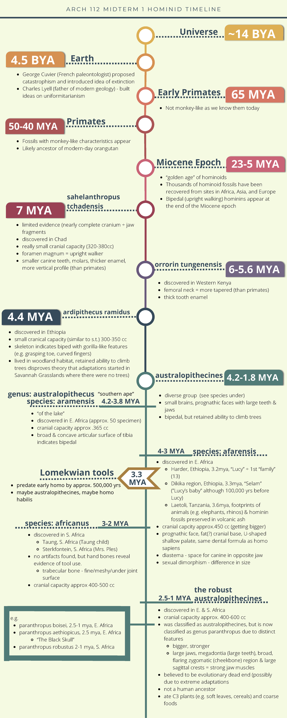 Arch 112 Hominid Timeline - Universe ~14 BYA George Cuvier (French paleontologist) proposed ...