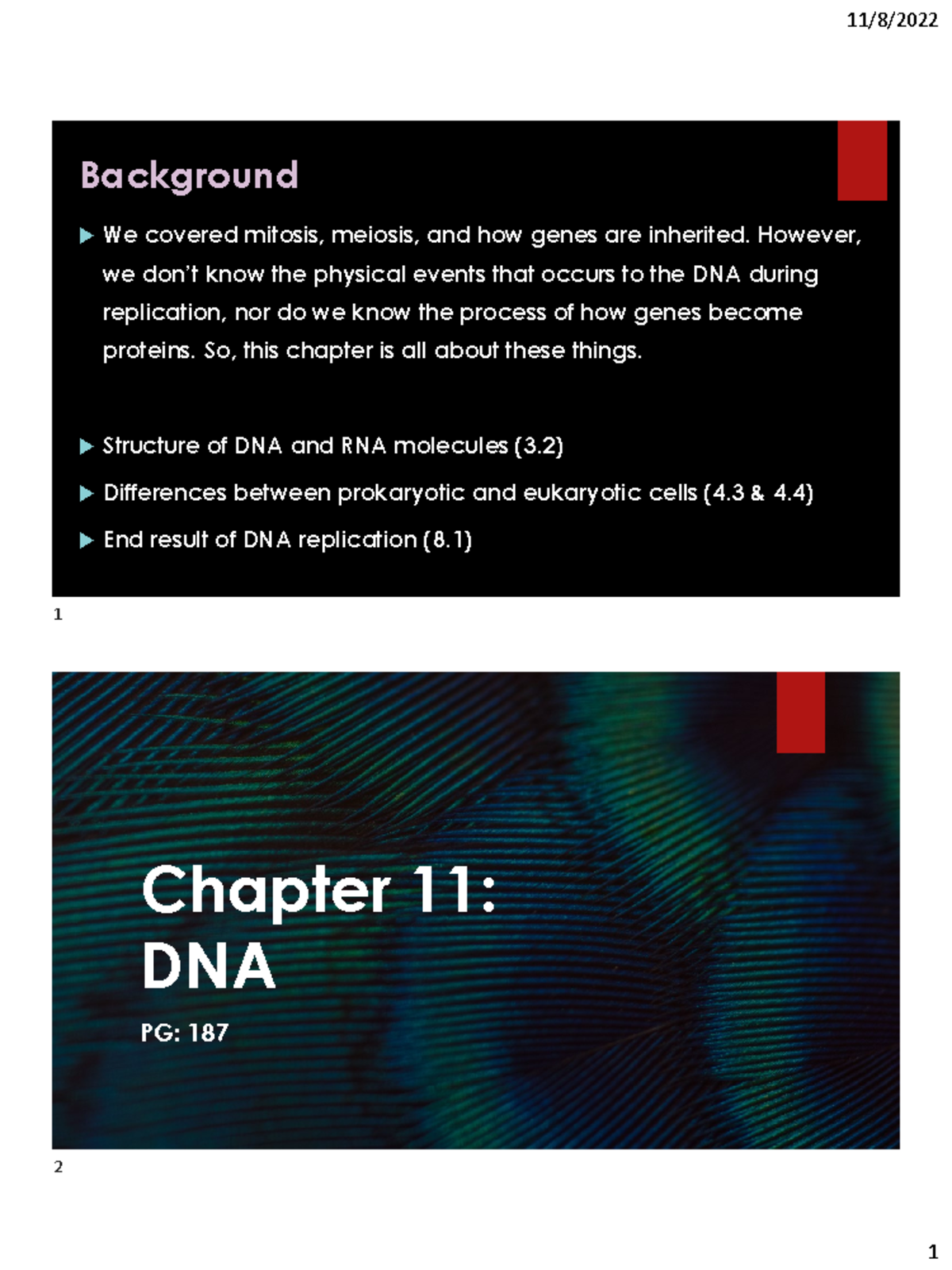 Chapter 11 the complete study guide - Background We covered mitosis ...
