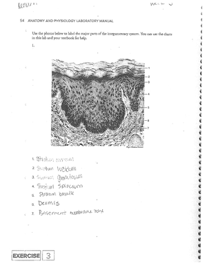 Shock - In the early stages of shock, the body will attempt to ...