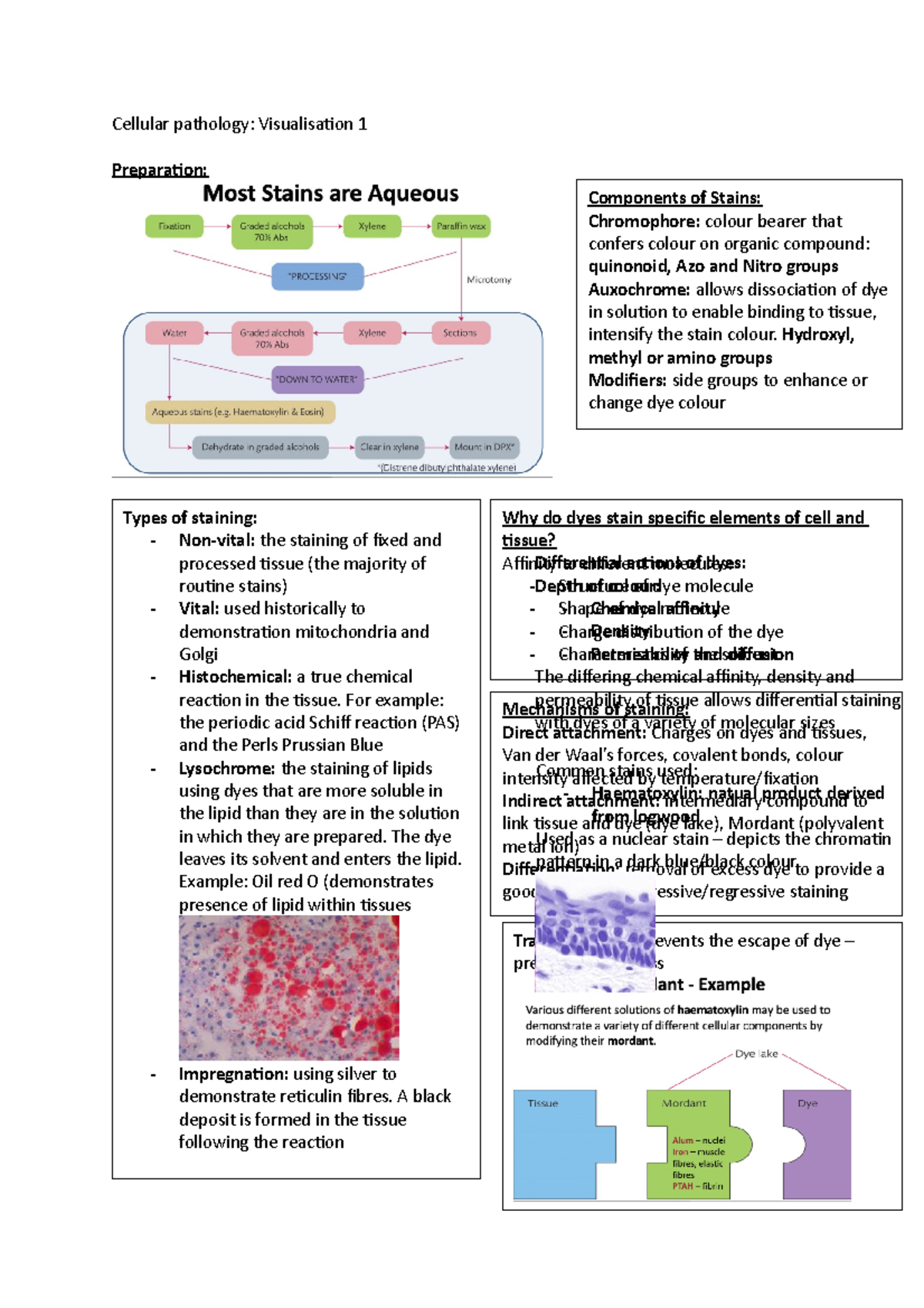 Visualisation 1 - Lecture notes 3 - Cellular pathology: Visualisation 1 ...