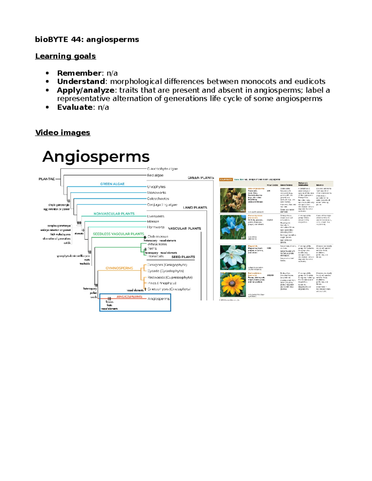 1802.Notes guide.bio BYTE 44 - bioBYTE 44: angiosperms Learning goals ...