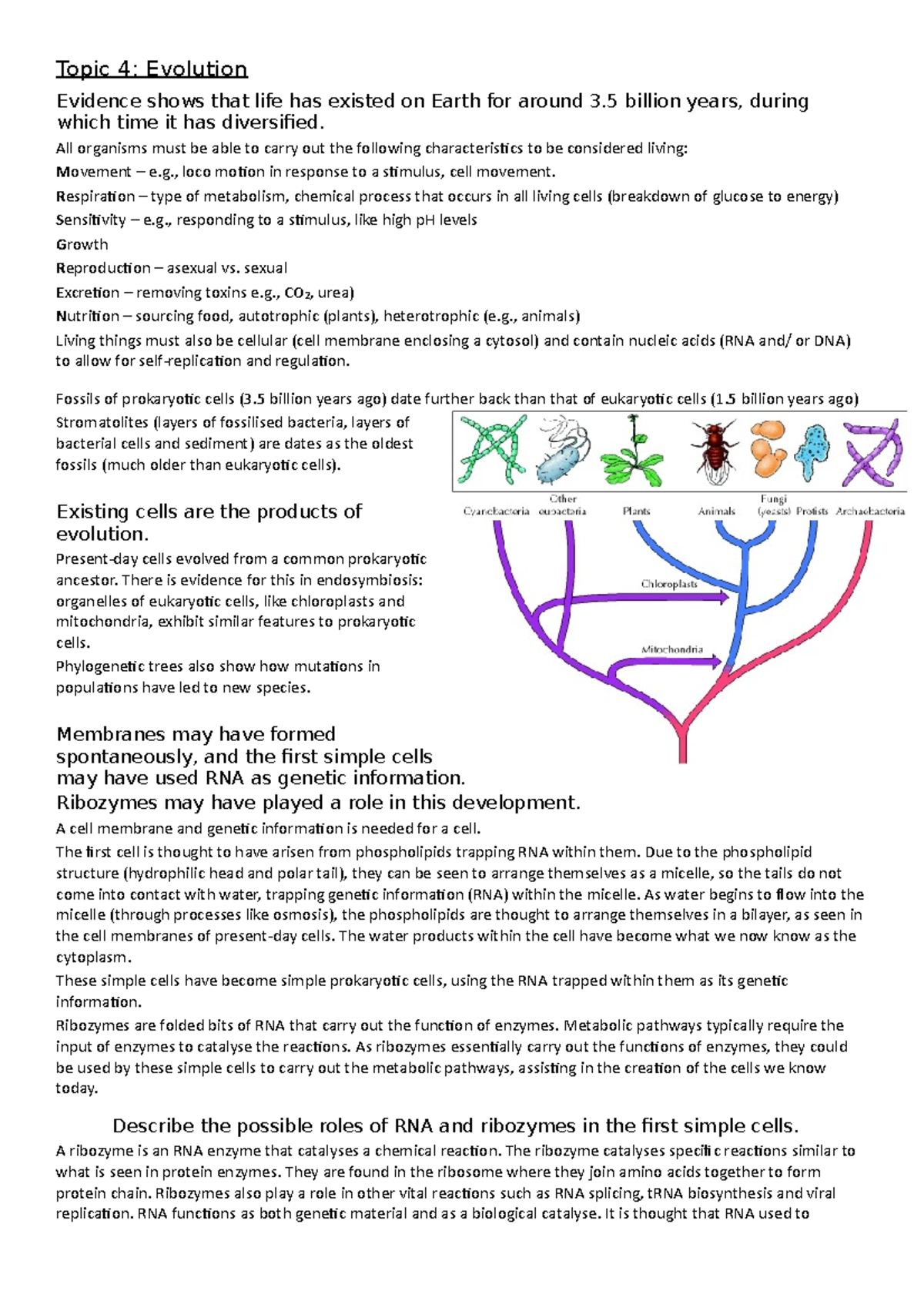 Topic 4 - Evolution - Topic 4: Evolution Evidence shows that life has ...