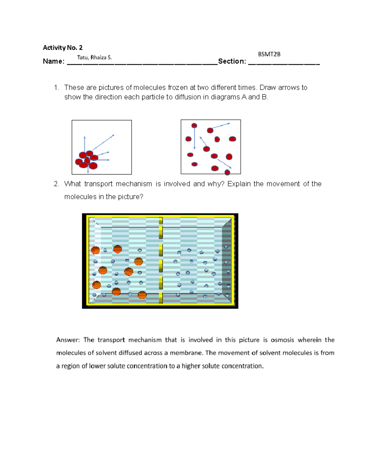 Biochemistry transport mechanism - Activity No. 2 Name: - Studocu