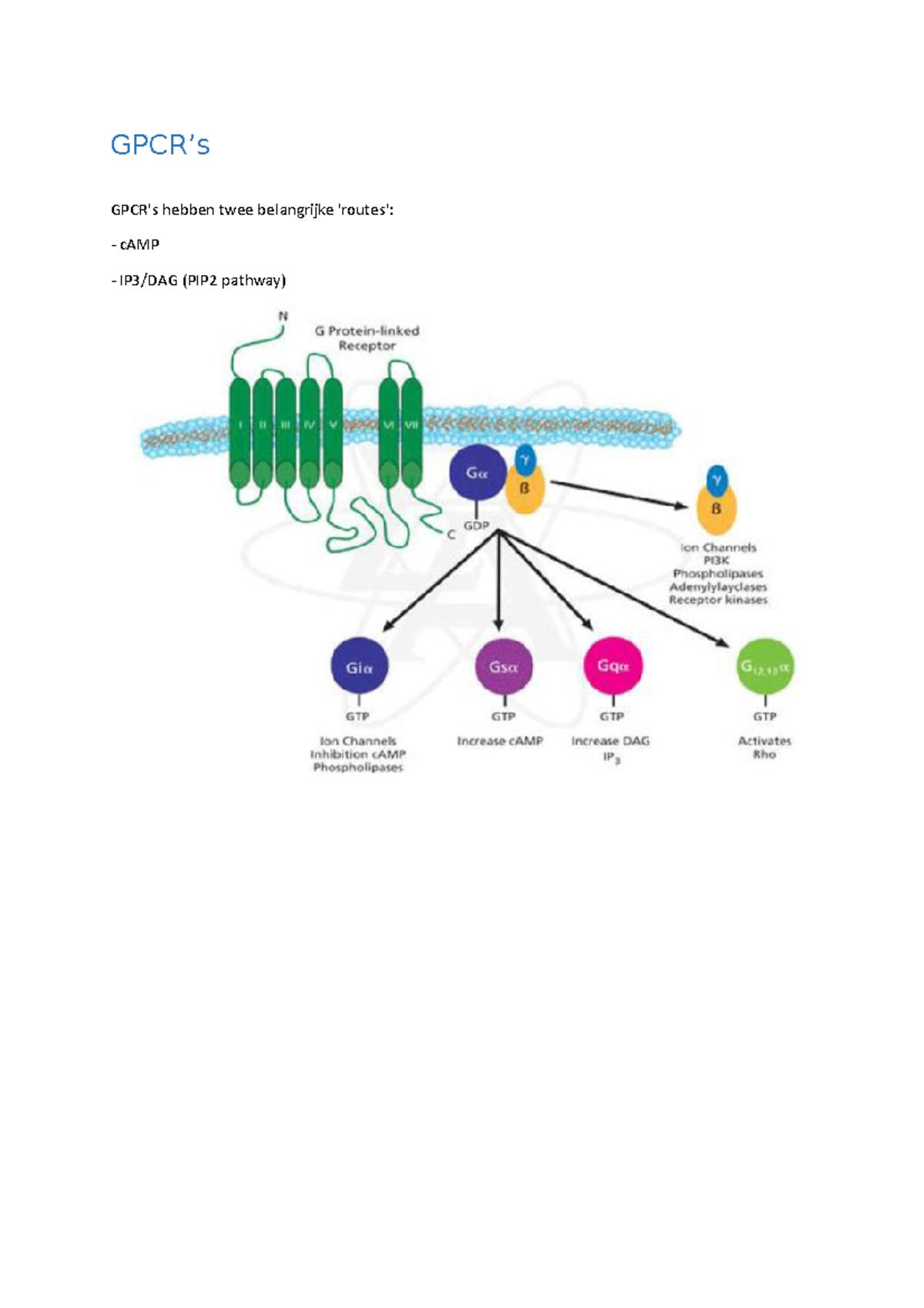 Signaaltransductie pathways - GPCR’s GPCR's hebben twee belangrijke ...