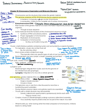 Genetics final study guide - CHAPTER 1 Heredity and variation Human ...