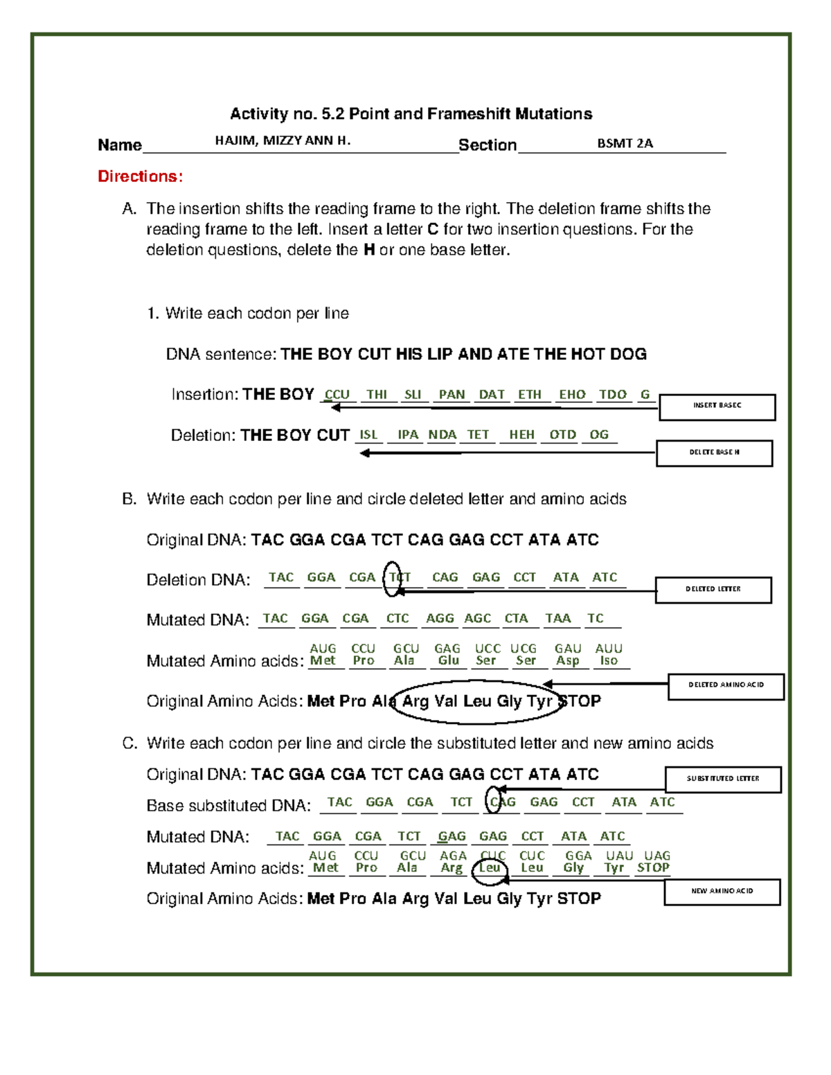 Activity No. 7.2 Point and Frameshift Mutations - Activity no. 5 Point ...