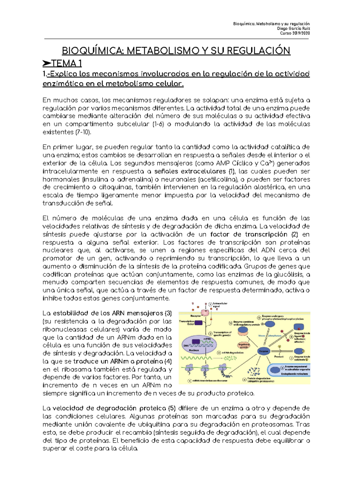 Preguntas tema 1-3 - Apuntes 1-3 - Curso 2019/2020 BIOQUÍMICA ...