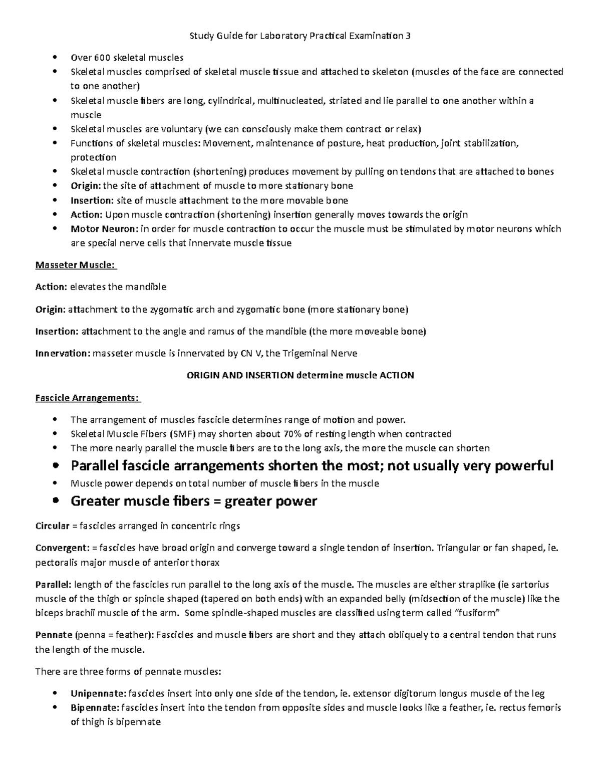 Study Guide for Laboratory Practical Examination 3 - Skeletal Muscle ...