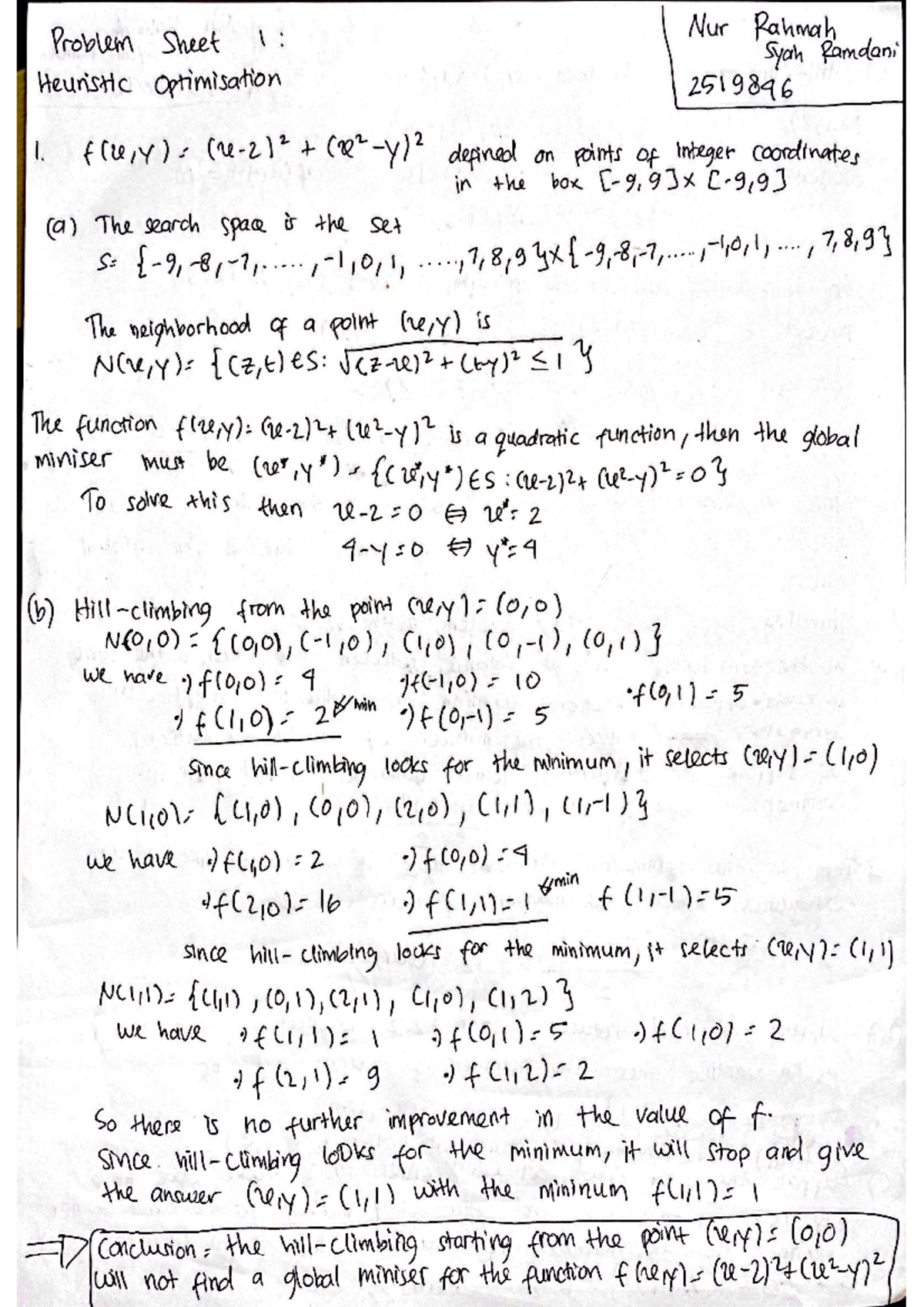 Problem Sheet 1 Heuristic Optimization 2519846 Nonlinear Programming