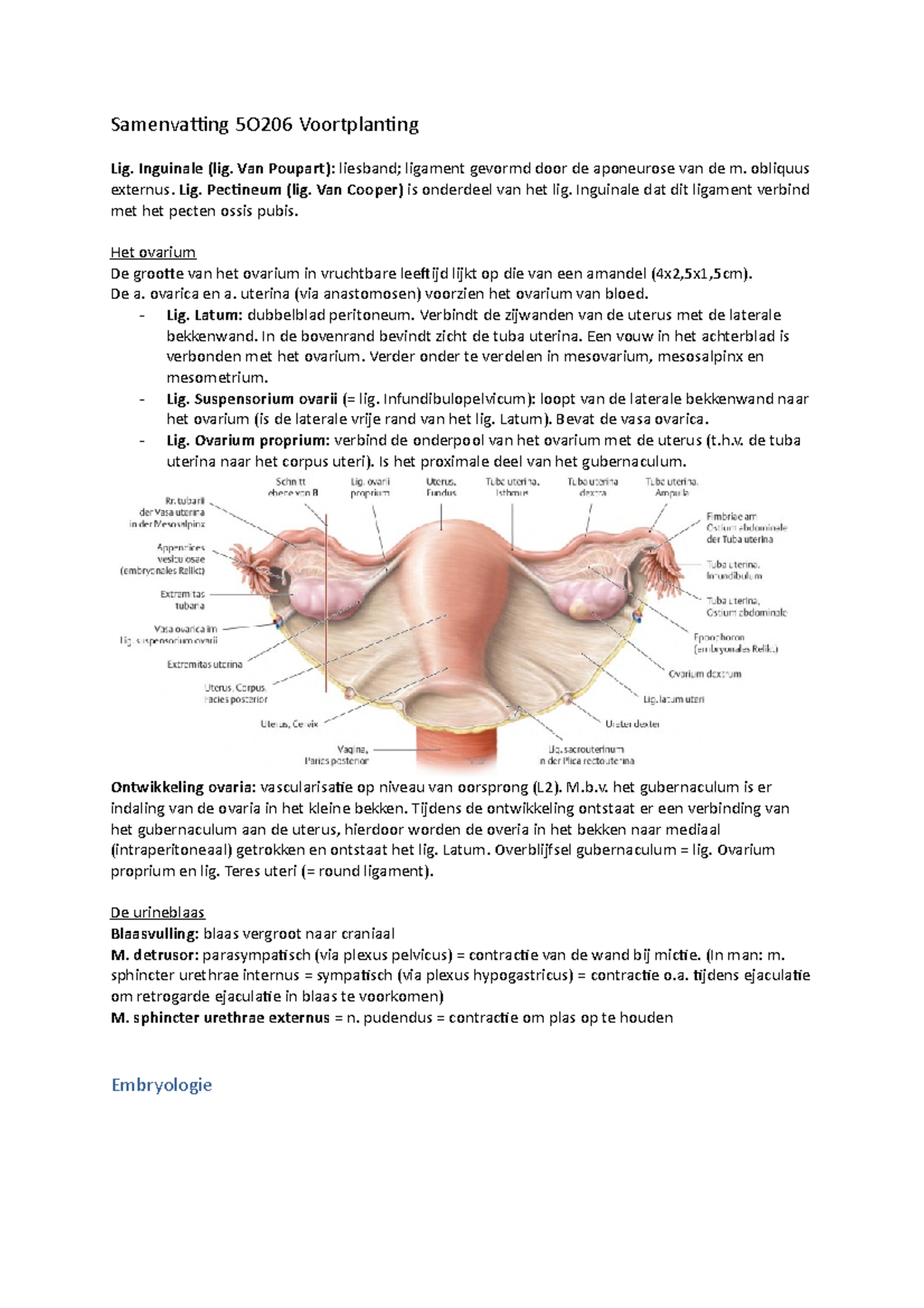 5O206 Samenvatting Voortplanting - Samenvatting 5O206 Voortplanting Lig ...