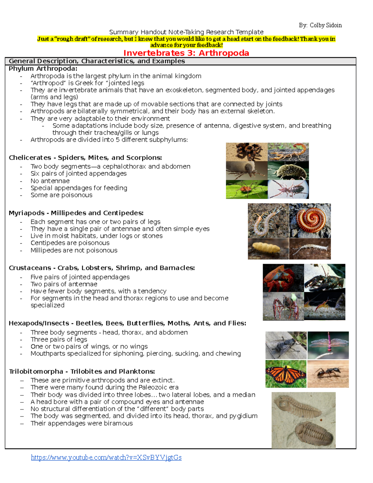 Research - Arthropods - Whole Group - Summary Handout Note-Taking ...