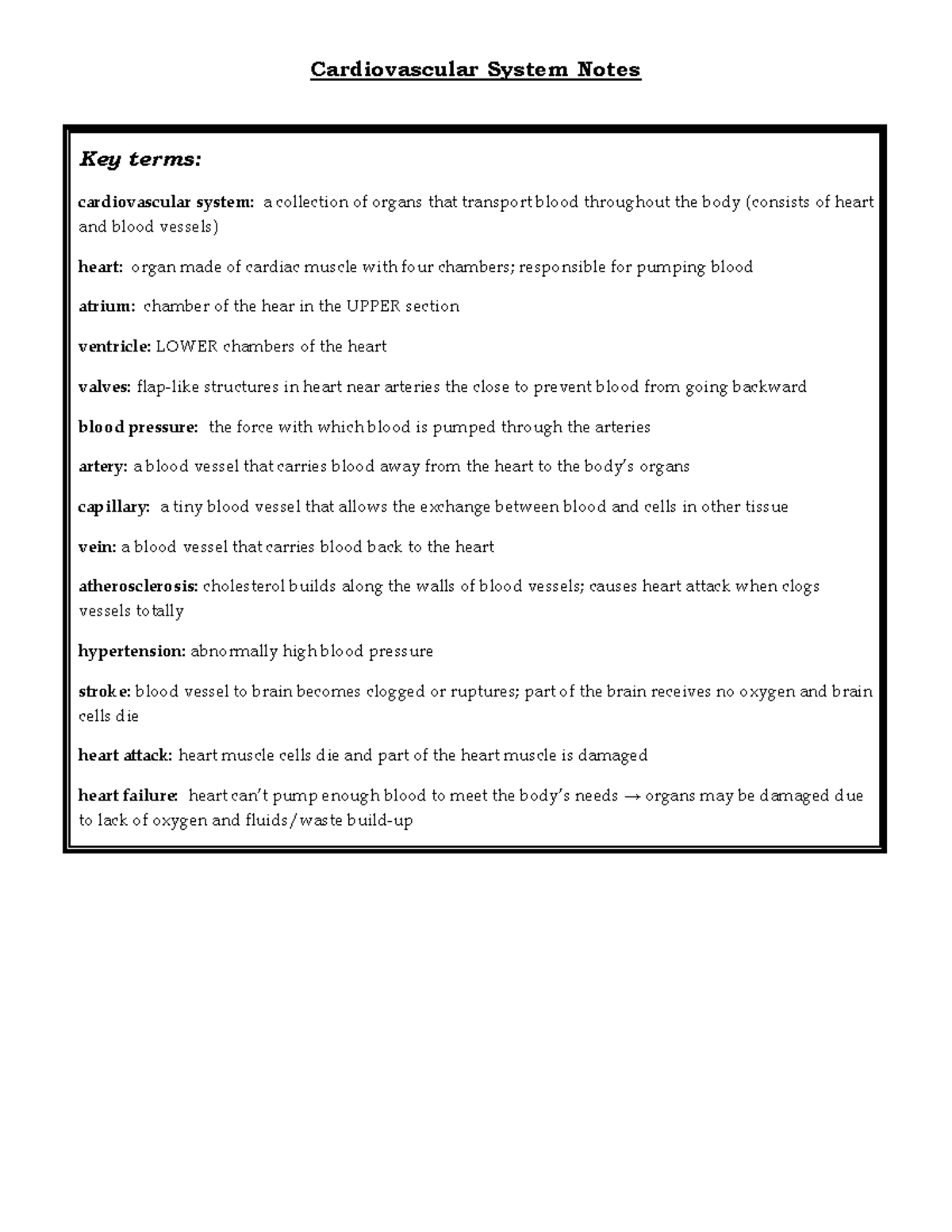 Circulatory System Notes - Cardiovascular System Notes Key terms ...