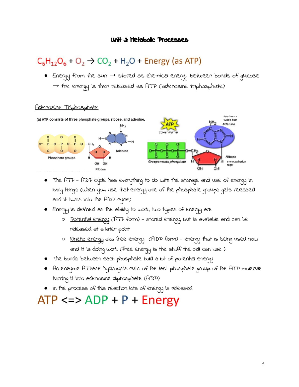 Metabolic Process notes - Unit 2: Metabolic Processes Energy from the ...