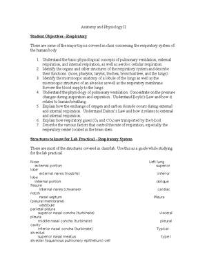 Biology classs Anatomy-and-physiology 2 respiratory-system.. other ...